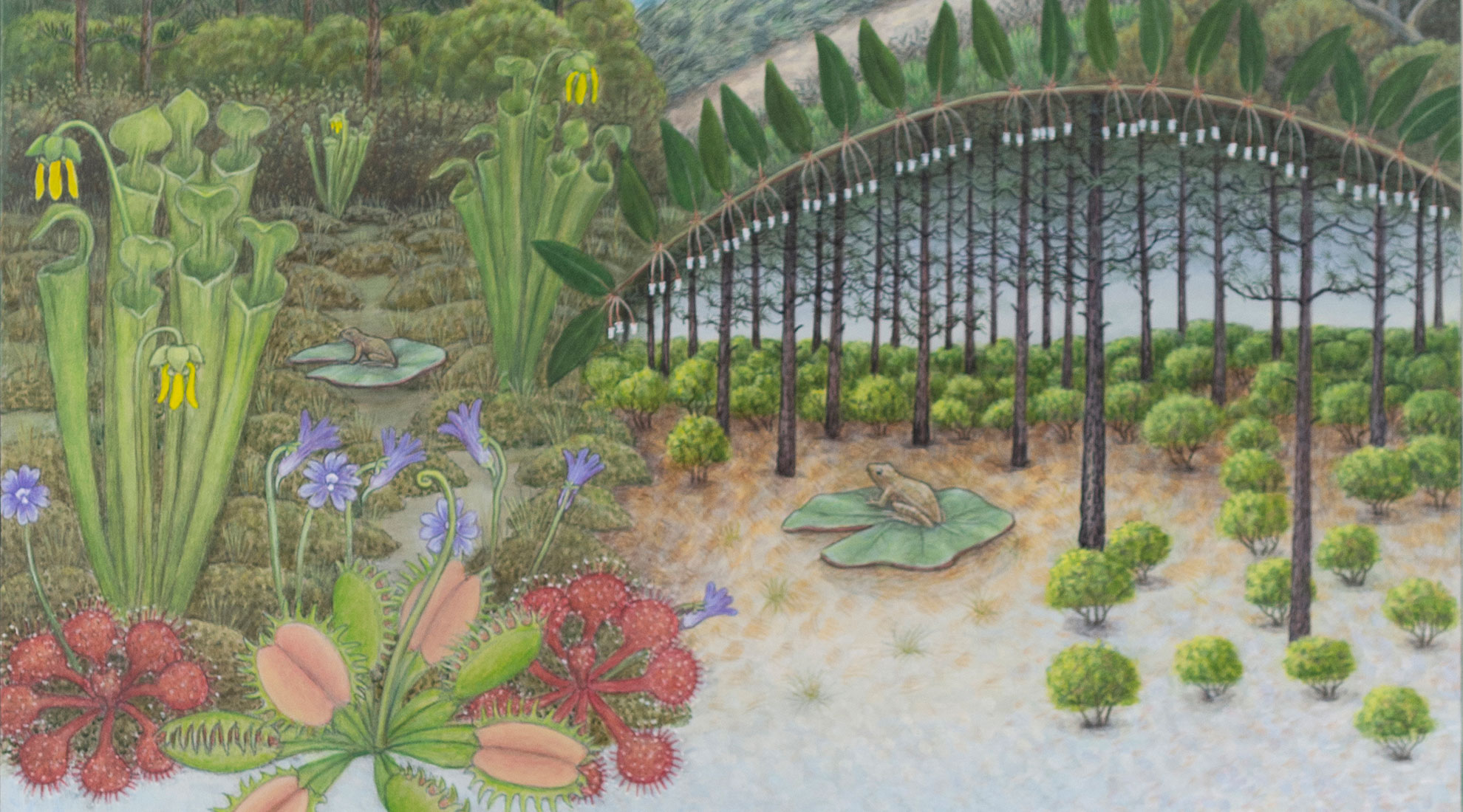 Exhibitions – Cameron Art Museum