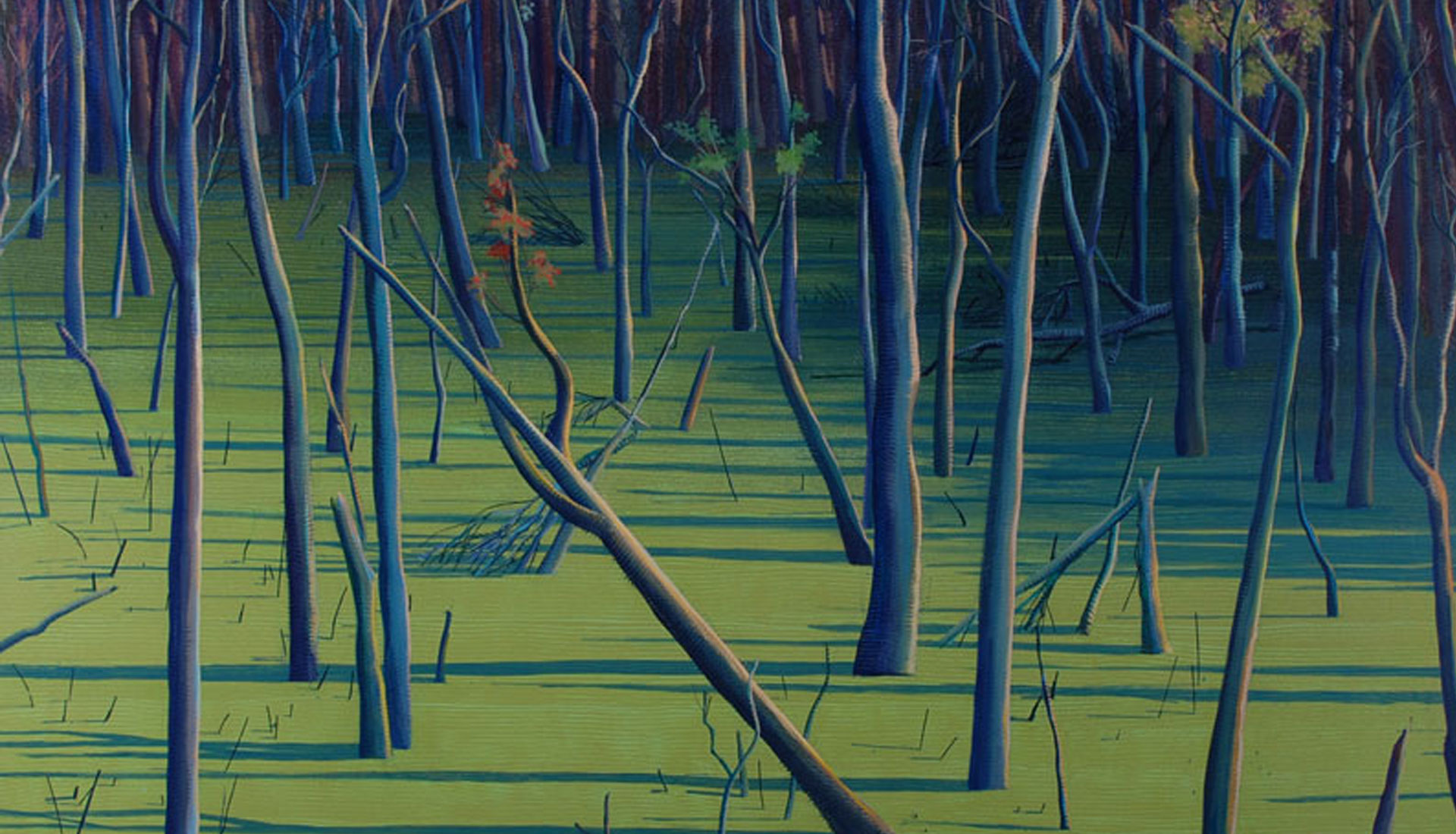 Exhibitions - Cameron Art Museum